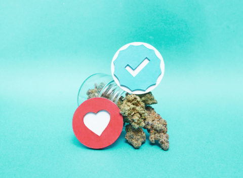 Weedmaps for Business | Cannabis Business Solutions
