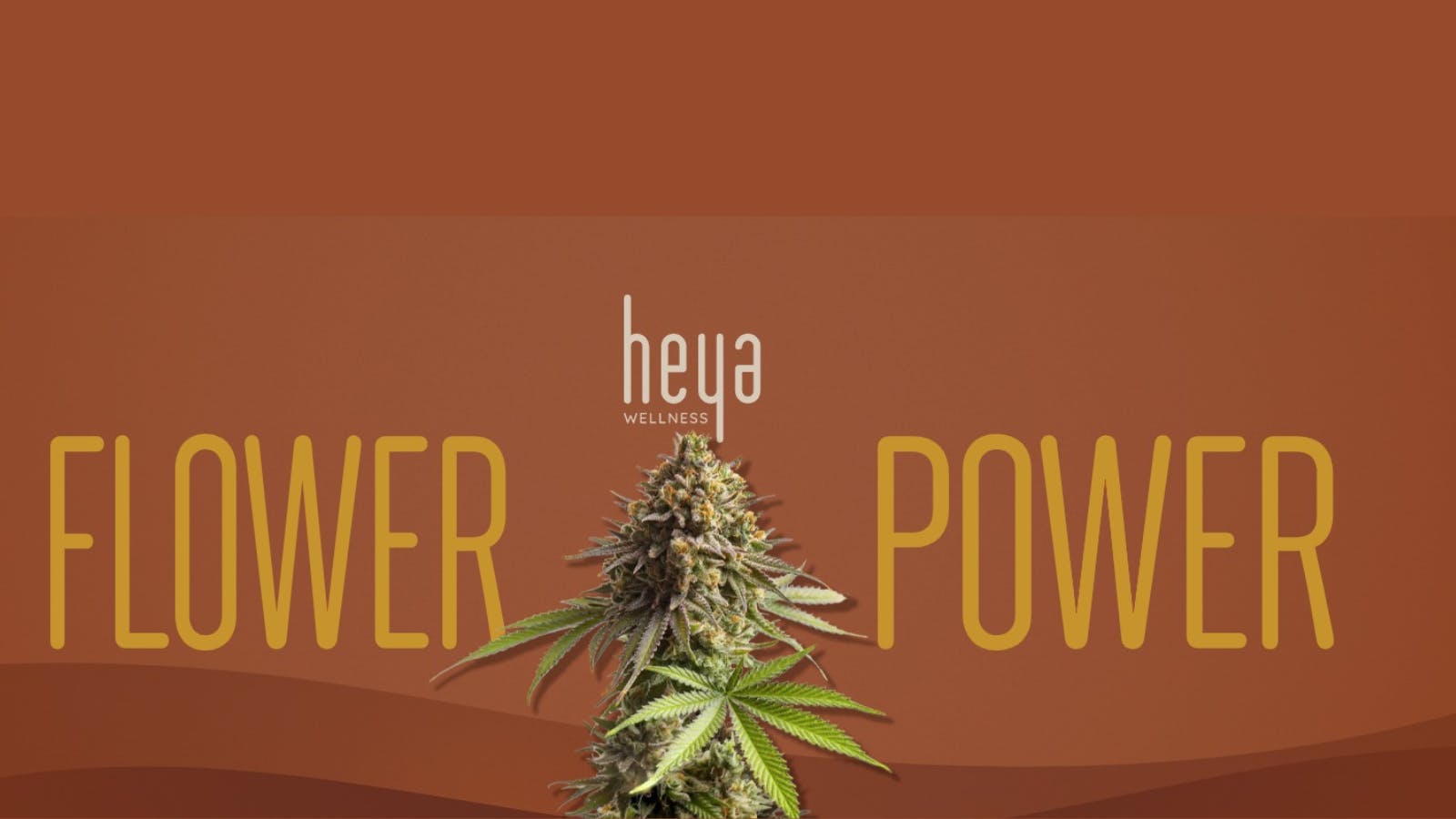Heya Wellness Park Hills Info, Menu & Deals - Weed dispensary Park Hills, Missouri
