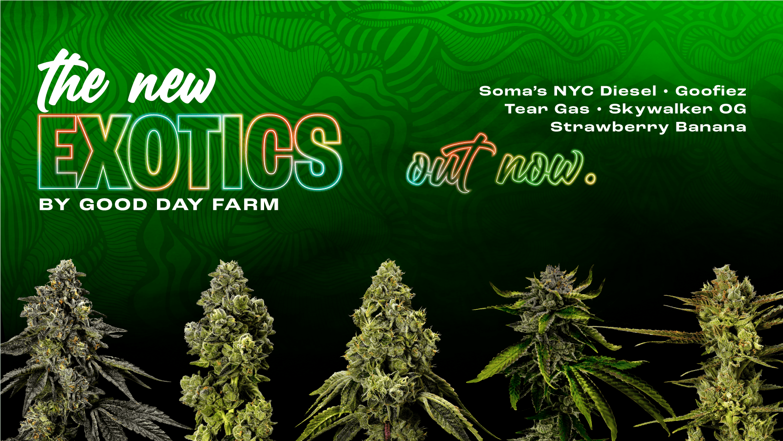 Good Day Farm - Eagleville Info, Menu & Deals - Weed dispensary Eagleville, Missouri