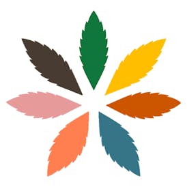 Kush Groove Dispensary | Cambridge Menu, Reviews, Deals - Weed ...