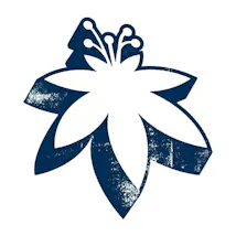 Highlife Health Menu, Reviews, Deals - Weed Dispensary in New Rochelle ...