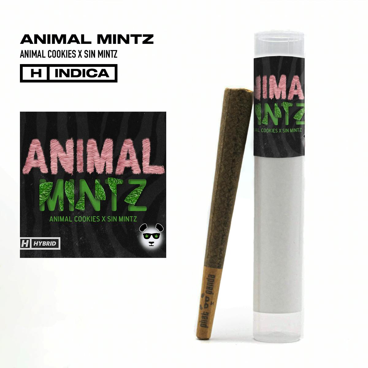 Animal Mintz - Preroll - Phat Panda