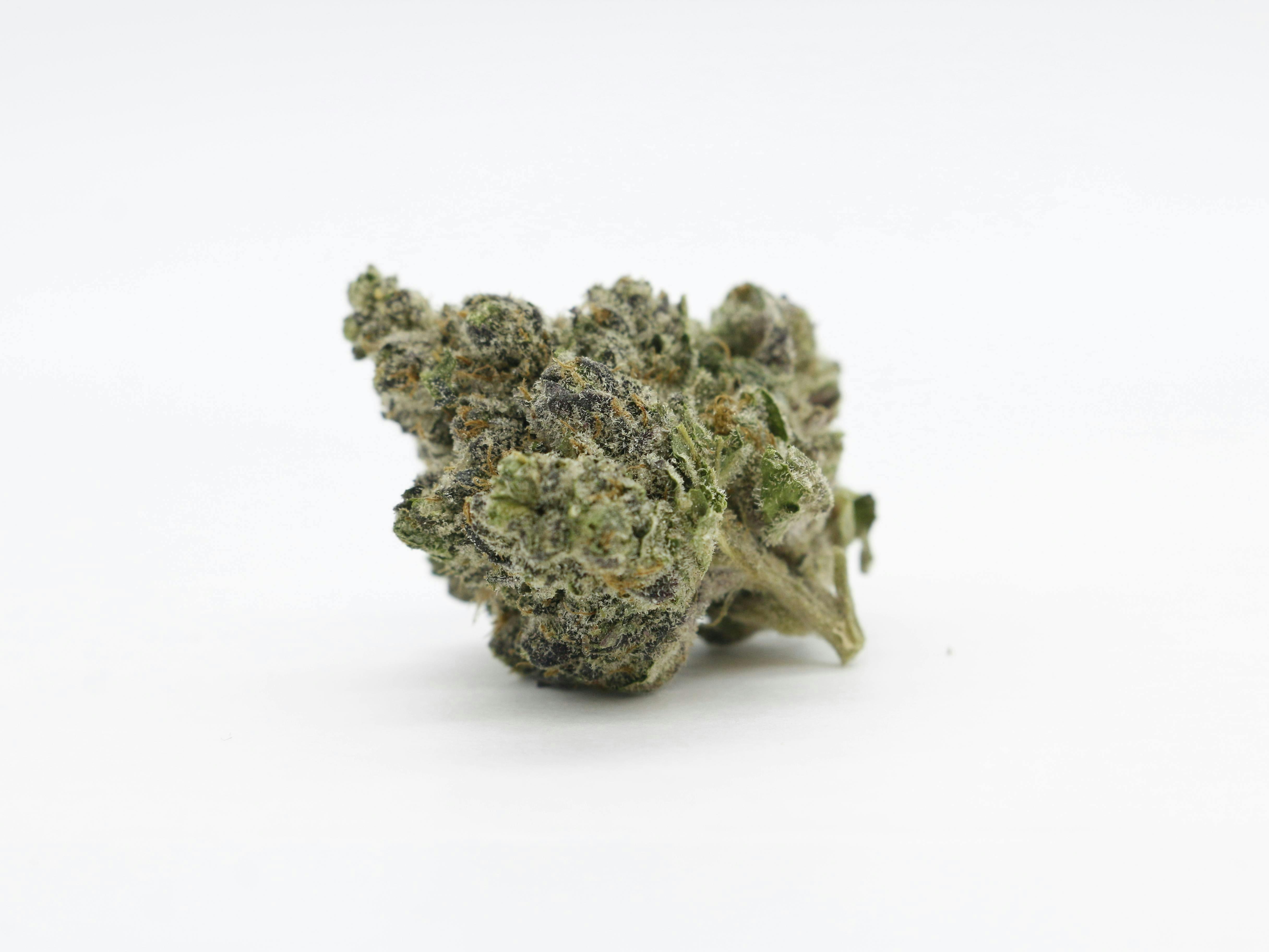 Garlic Runtz Flower - Bear Labs