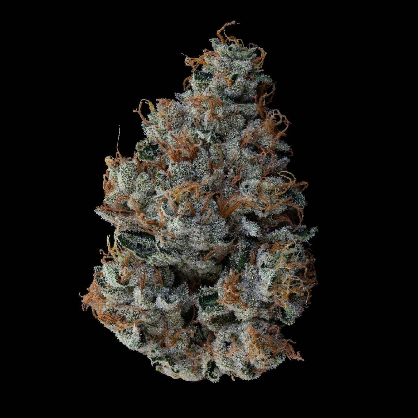 Motorbreath - Flower 5.66g - Klutch Cannabis