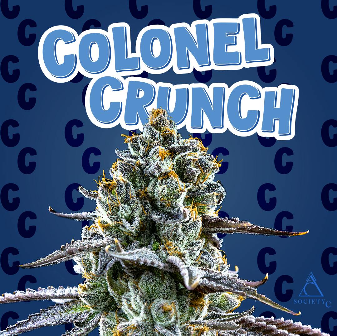 Society C - Colonel Crunch SMALLS - 28g - Society C