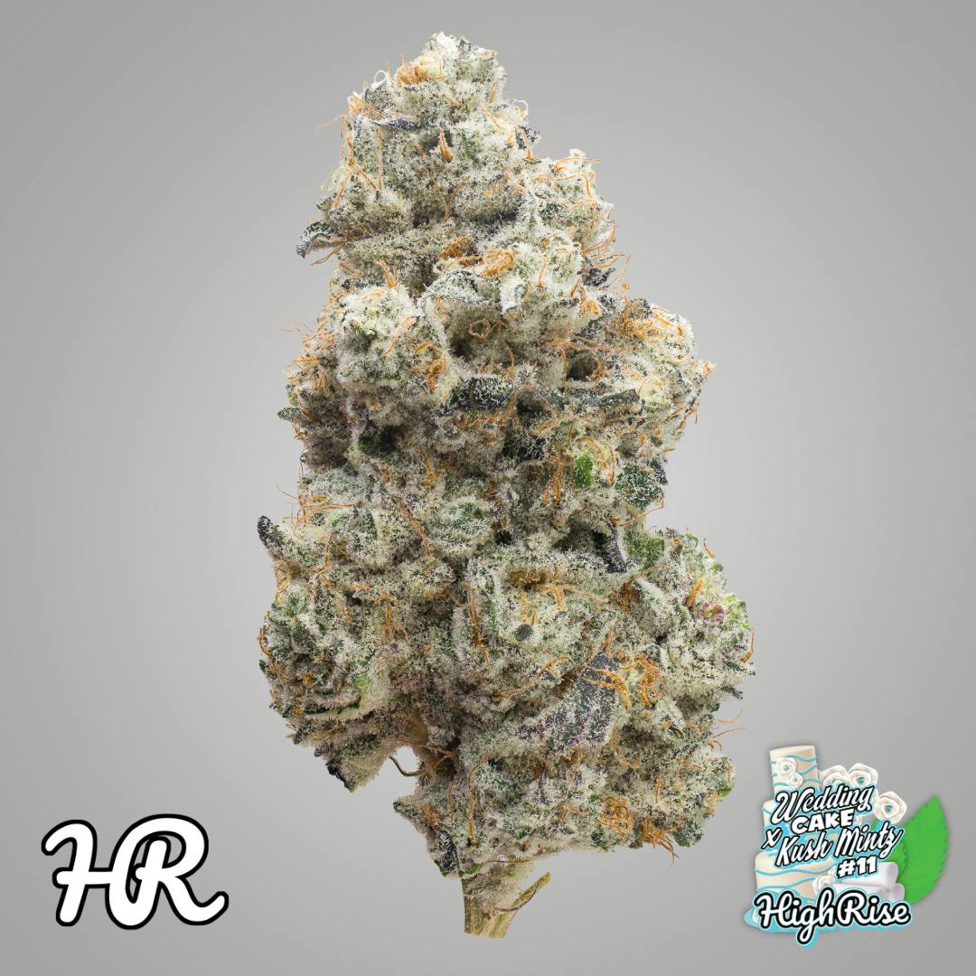 Wedding Cake x Kush Mints #11 | High Rise Cannabis - High Rise Extracts