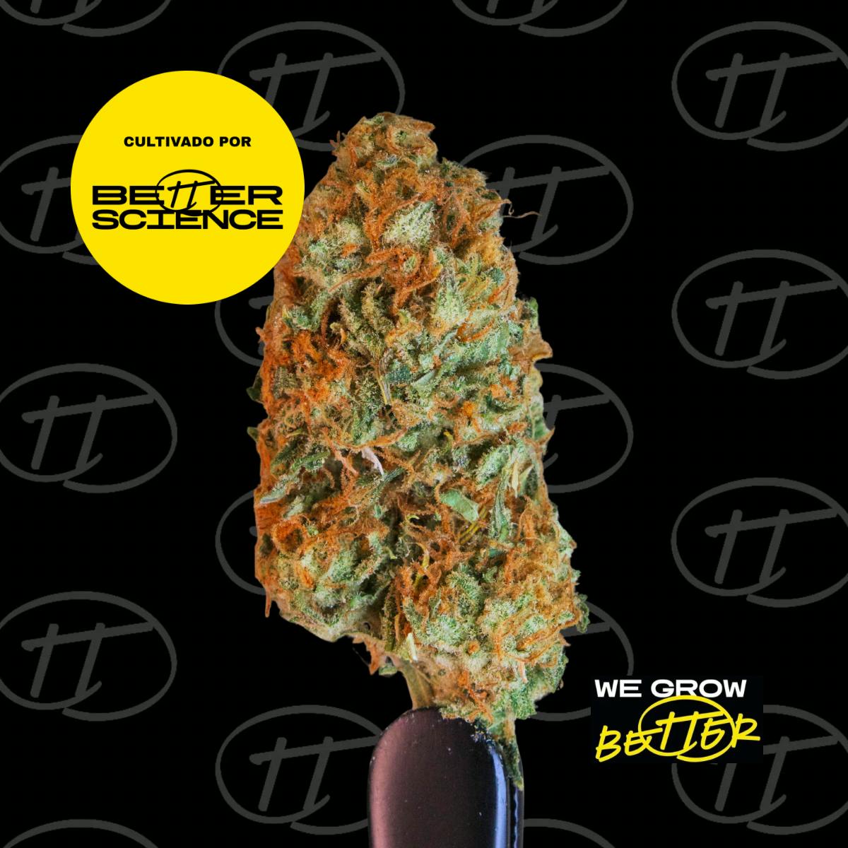 Blue Ritz Flower - Better Science