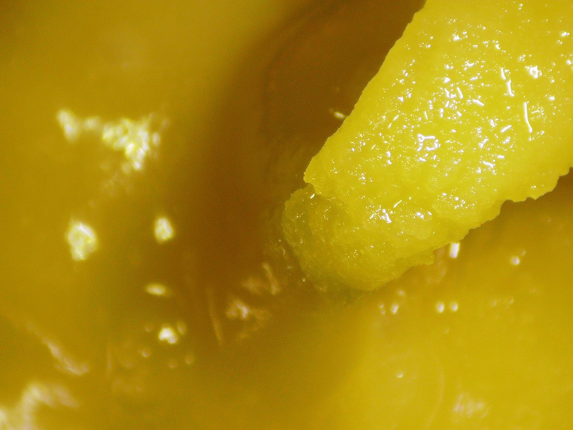 Hey Bud | Kushmintz 2g Live Rosin - Hey Bud