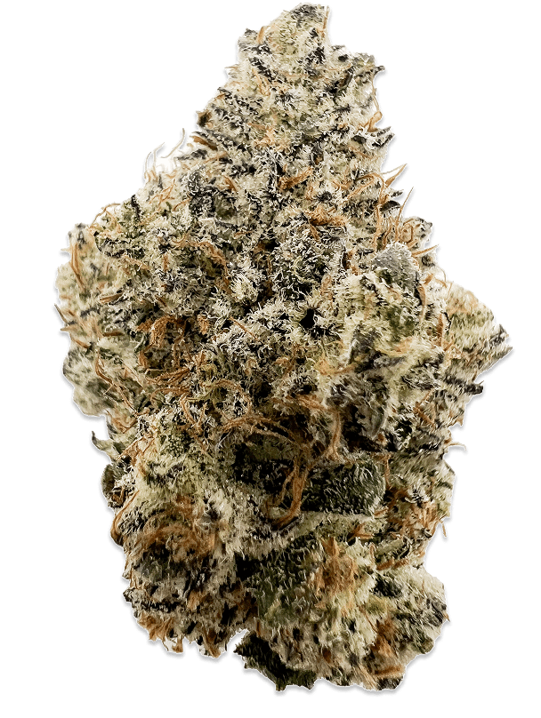 Rhize | Donkey Butter | 28g Flower - Rhize