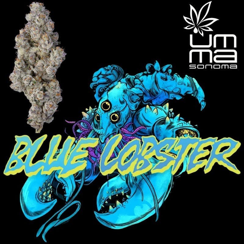 Umma Sonoma | Blue Lobster | 3.5g Flower - Umma Sonoma