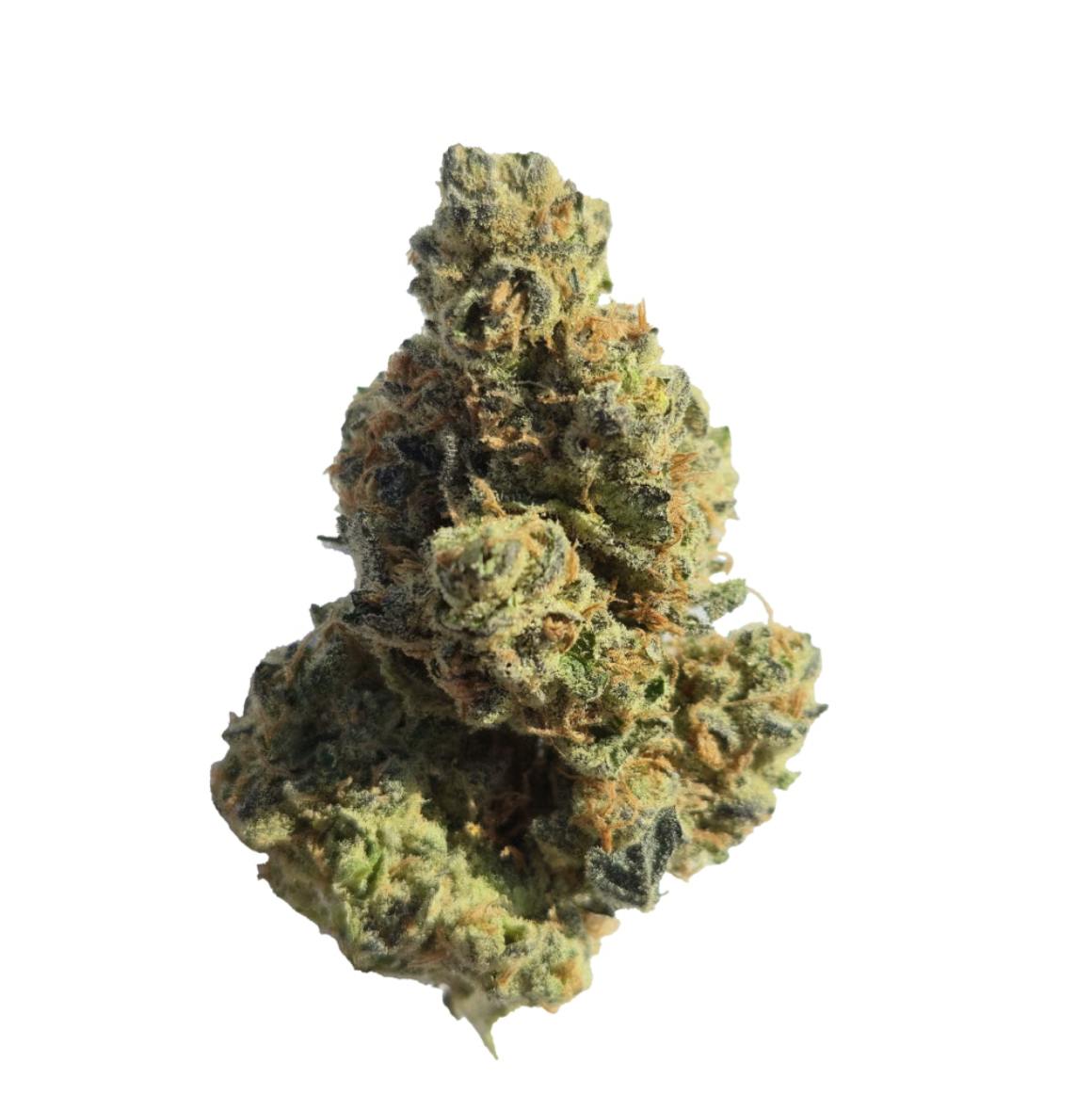 Vireo | Super Sonic Blizzard | Flower | 7G - Vireo