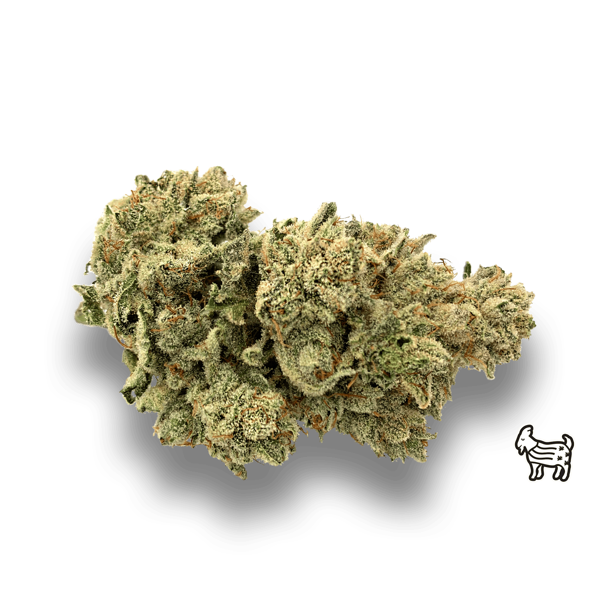 GG4 / ORIGINAL GLUE / GORILLA GLUE | BIG BUDS | 28G - The Laughing Goat