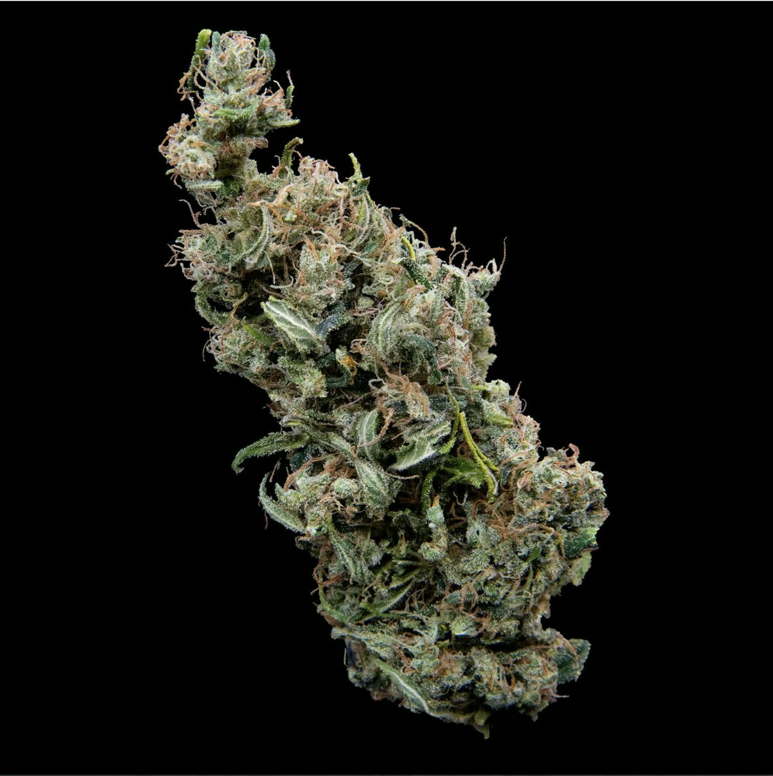 Oaxaca Jawaka | Upstate Elevator Operators | Flower | 3.5G - Upstate ...