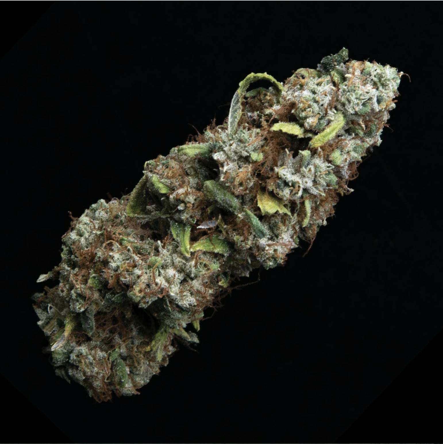 Topanga Canyon Pure Kush | Upstate Elevator Operators | Flower | 3.5G ...