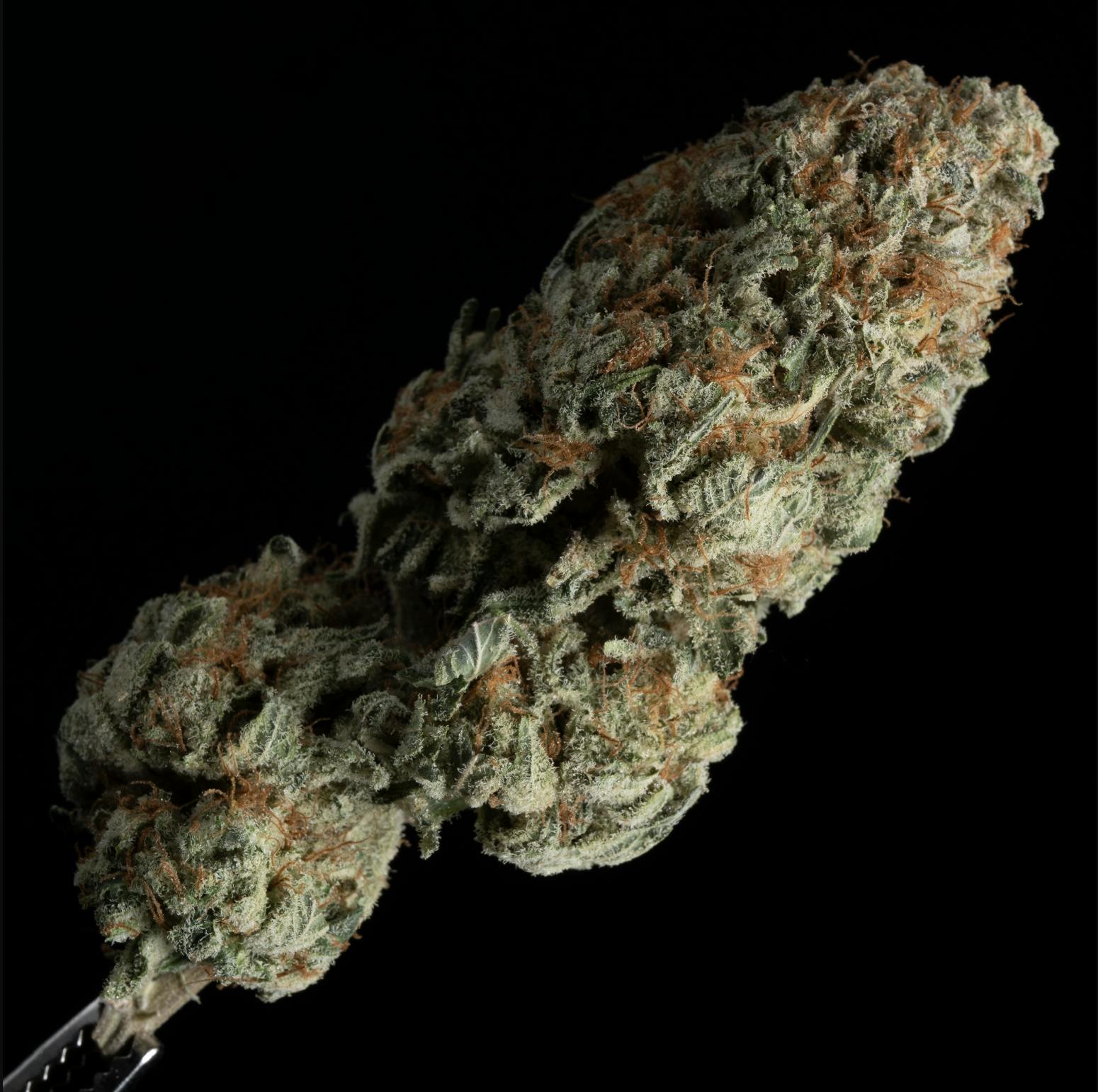 Elvis Glue | Upstate Elevator Operators | Flower | 3.5G - Upstate ...