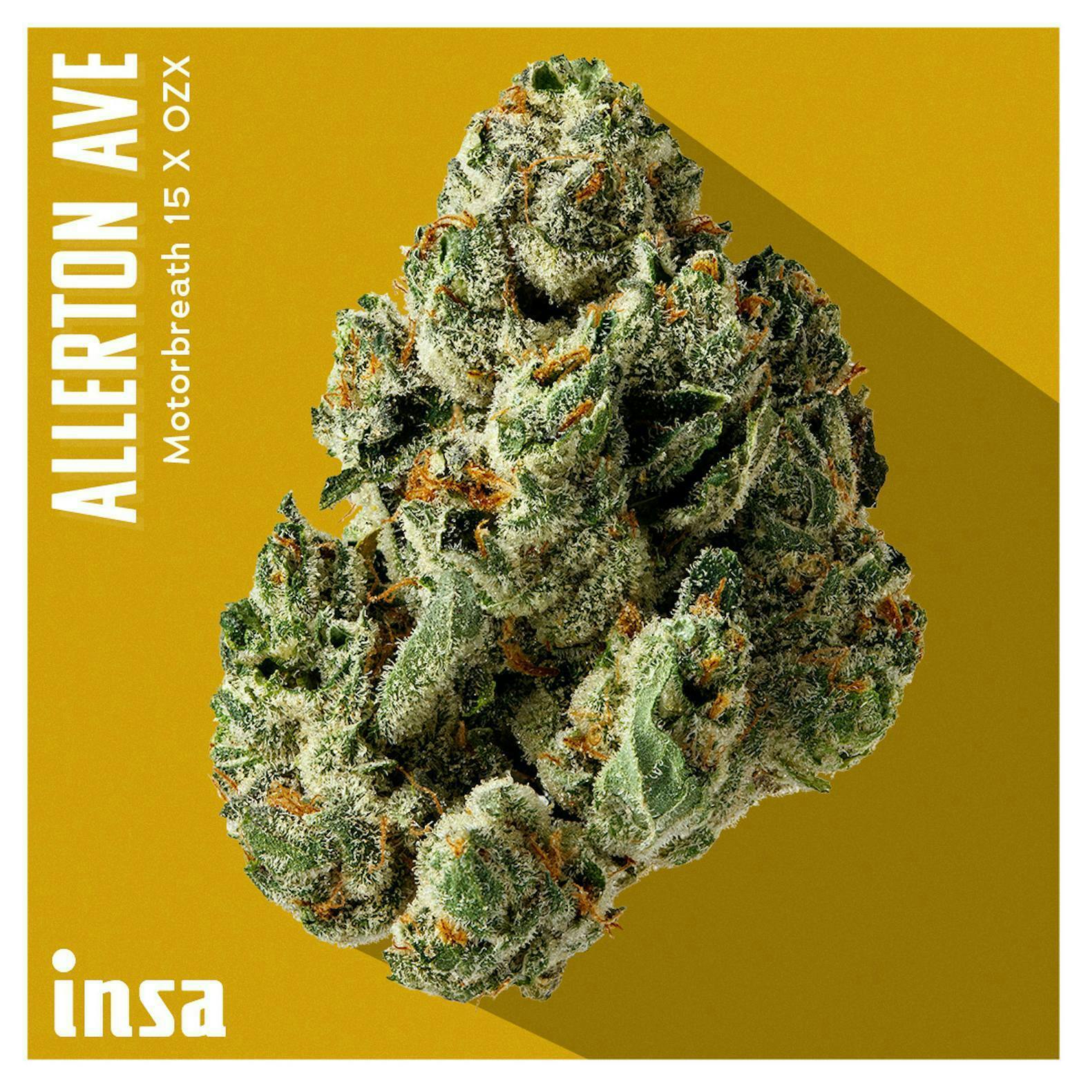 INSA - Allerton Ave - 3.5g Flower - INSA