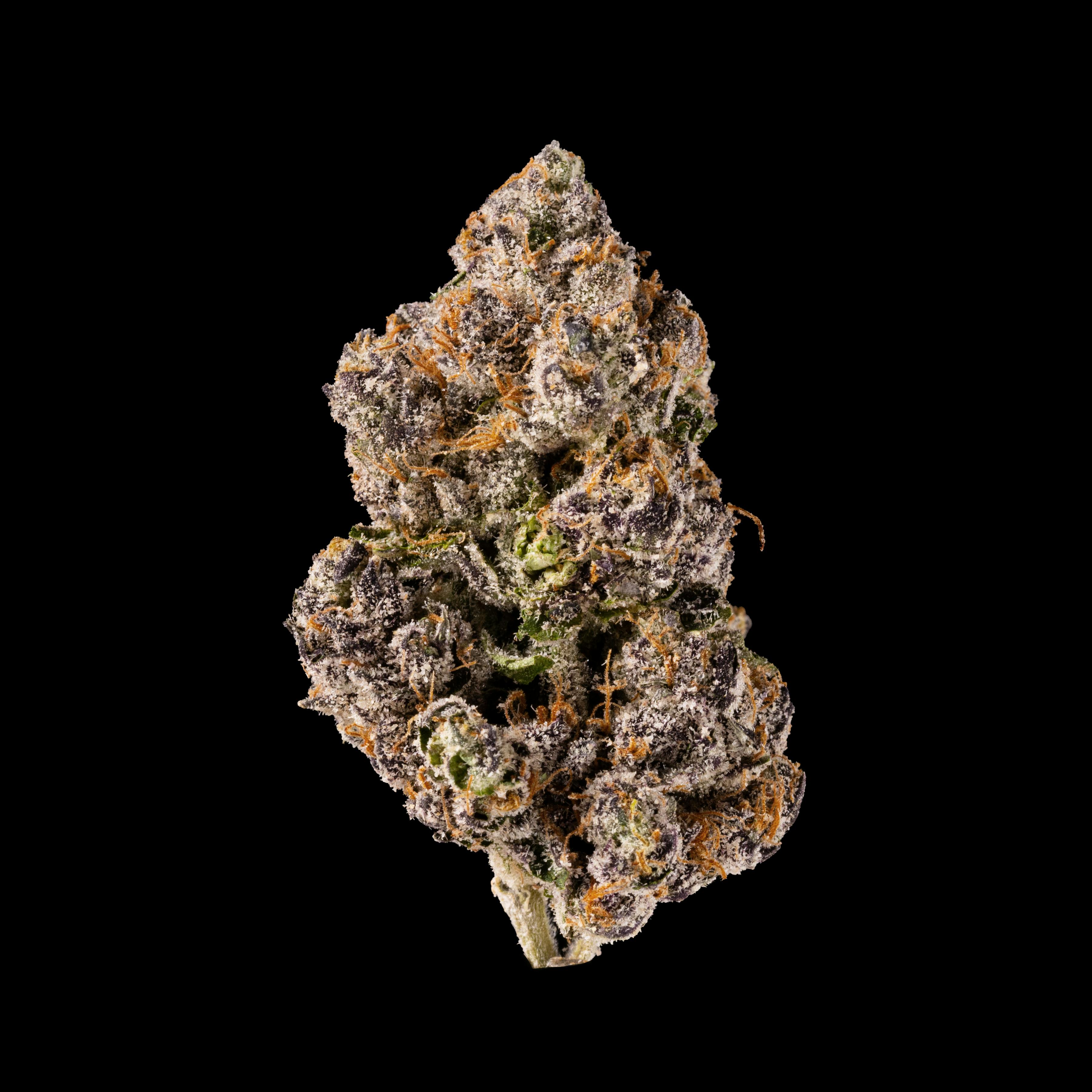 Candy Colada Bulk Flower - LB Canna Co