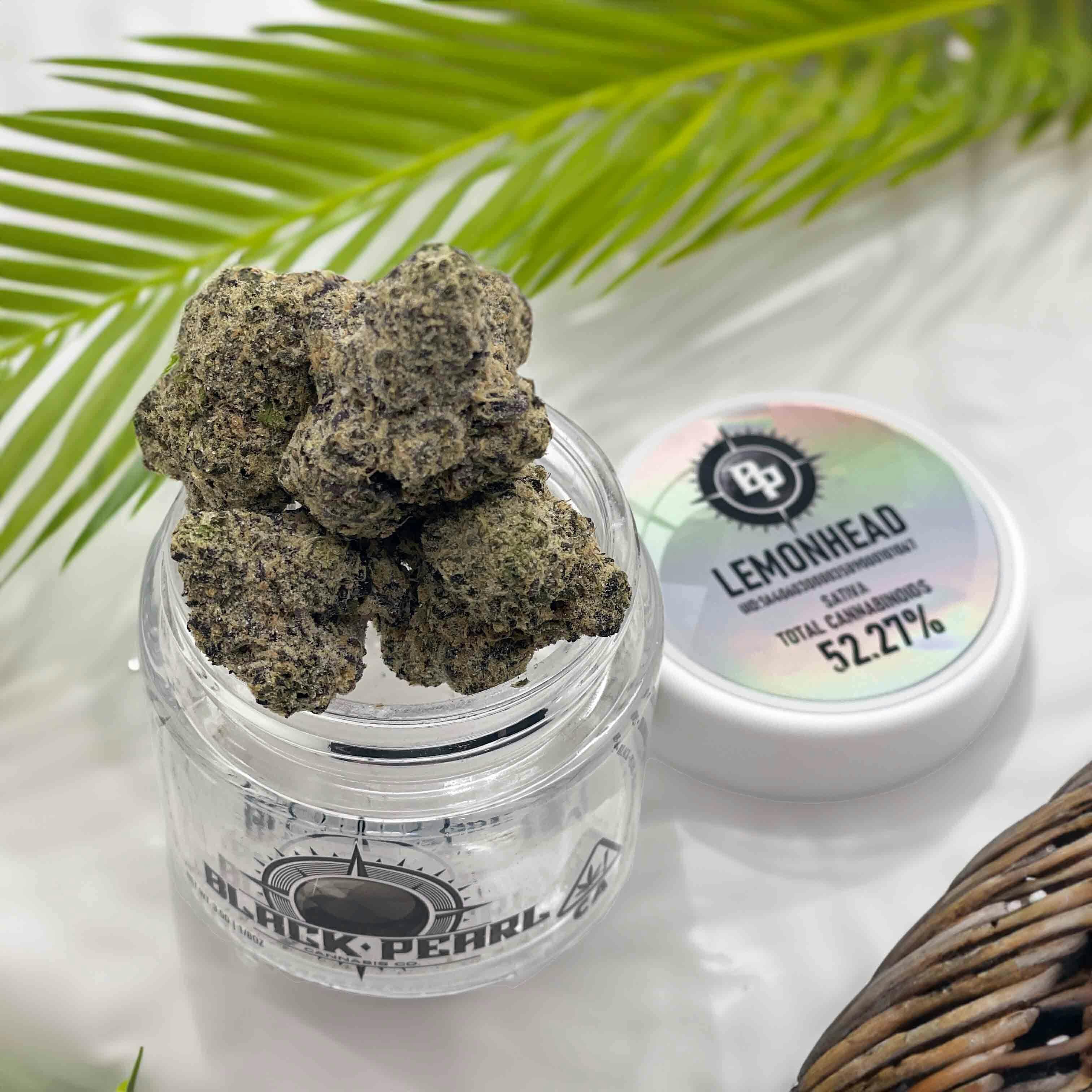 BLACK PEARL - Diamond Coated Indoor - Lemonhead - 3.5g | 1/8oz - Twenty ...