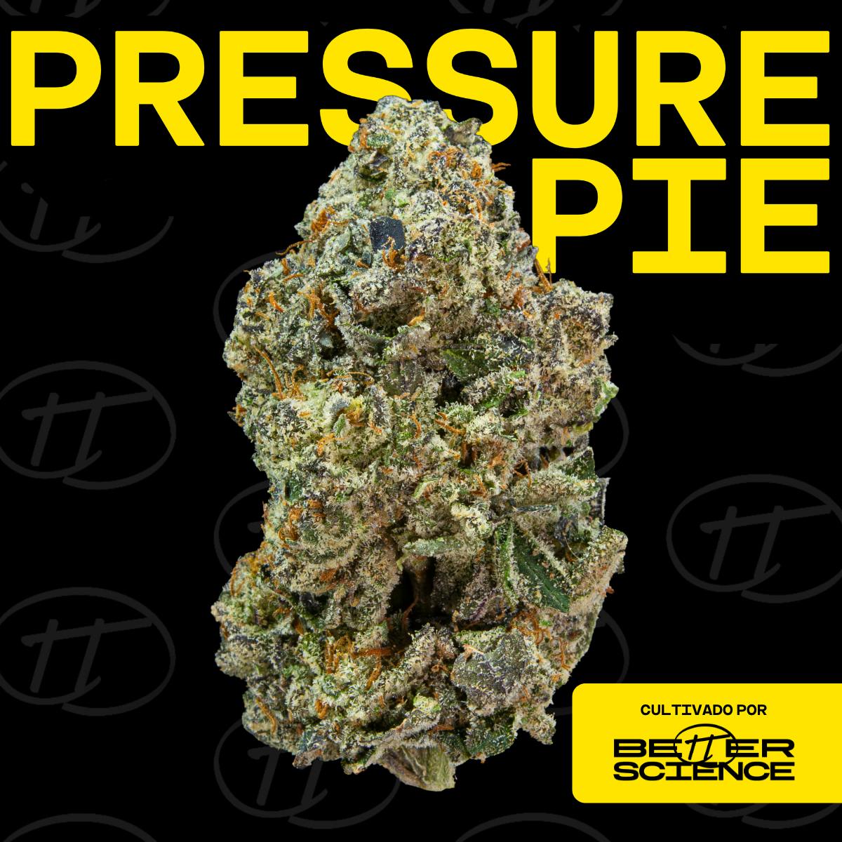 BSC - Pressure Pie #7 - Flor - Better Science