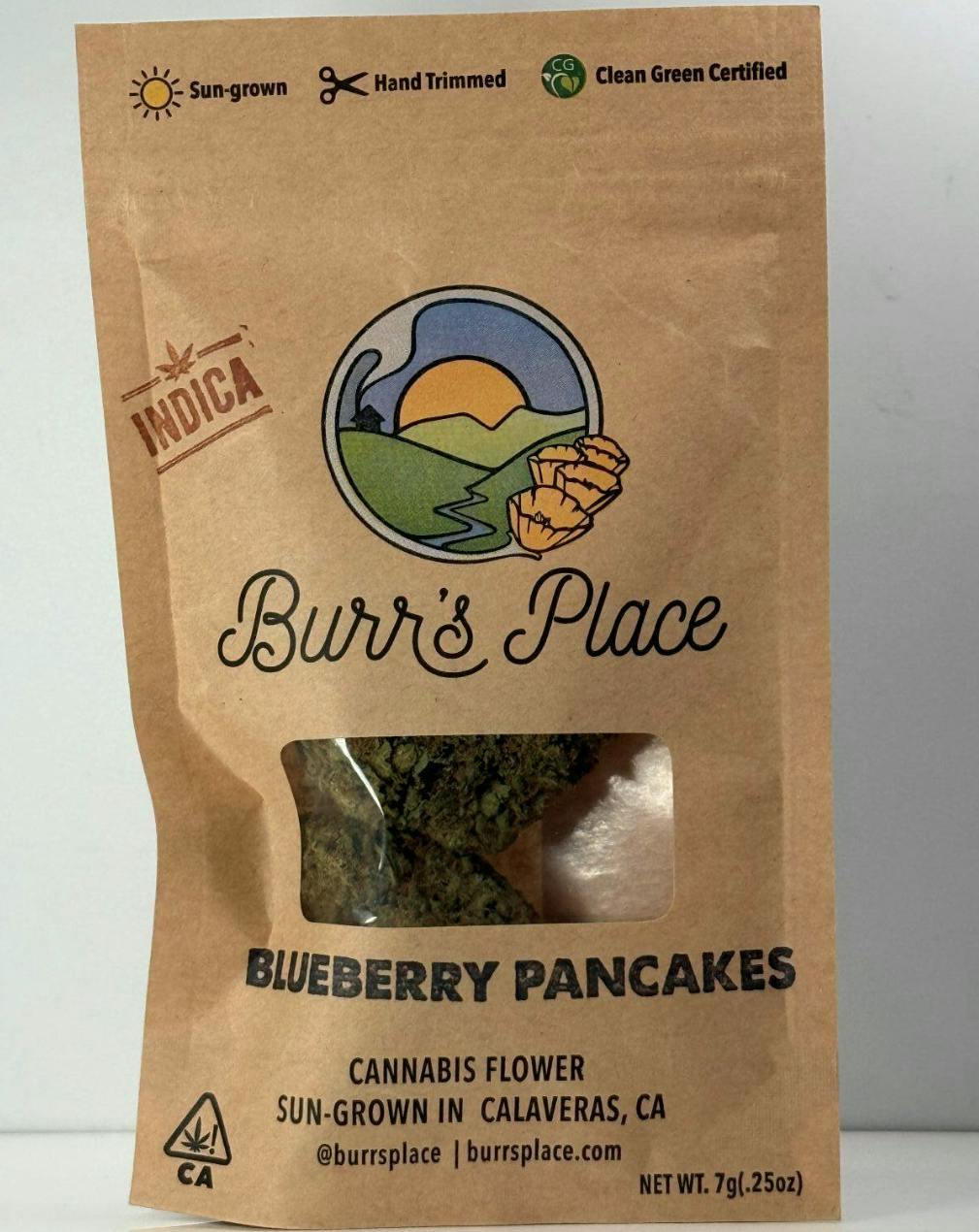 Blueberry Pancakes | Big Buds | 7g - Burr's Place