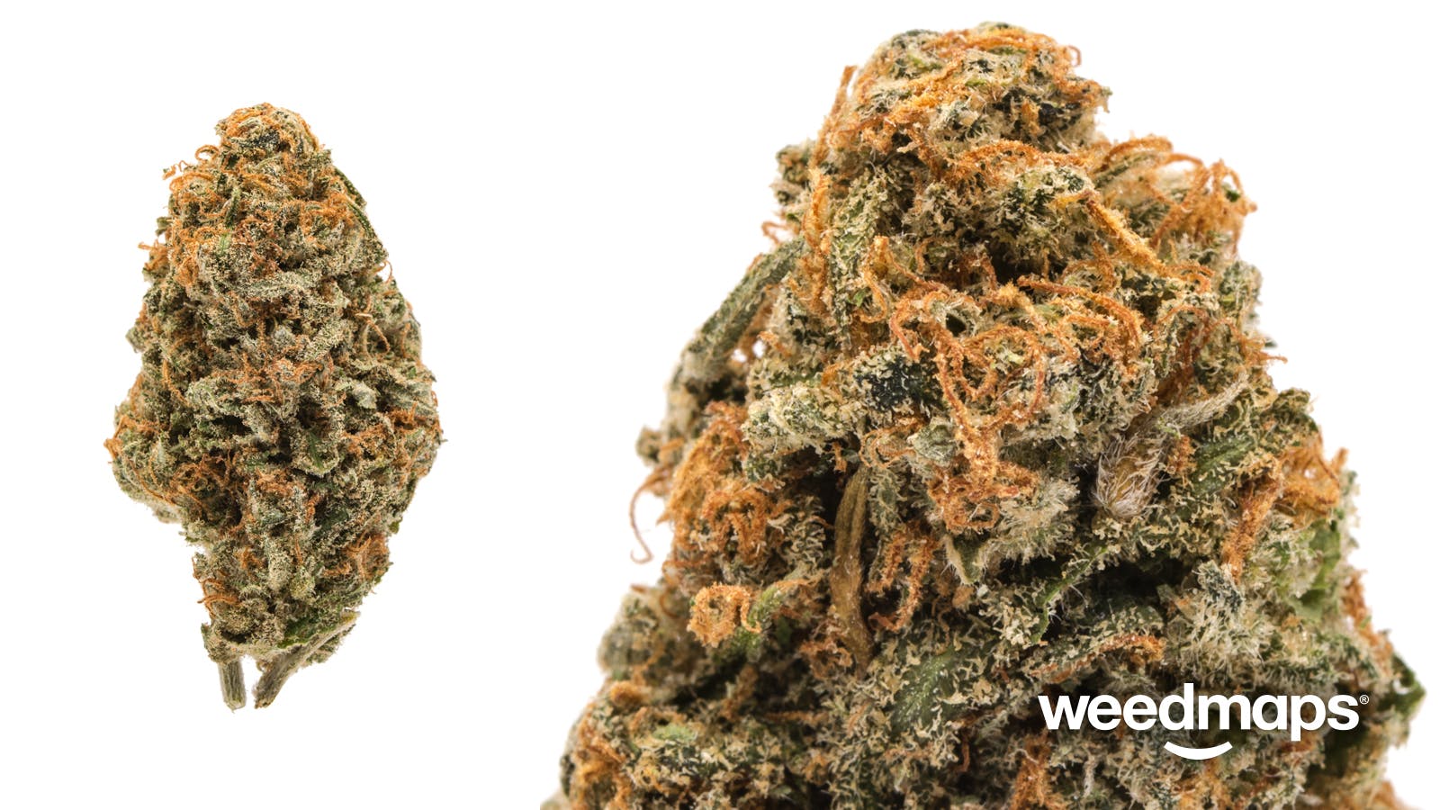 Cannabicare Info, Menu & Deals - Weed dispensary Colorado Springs, Colorado