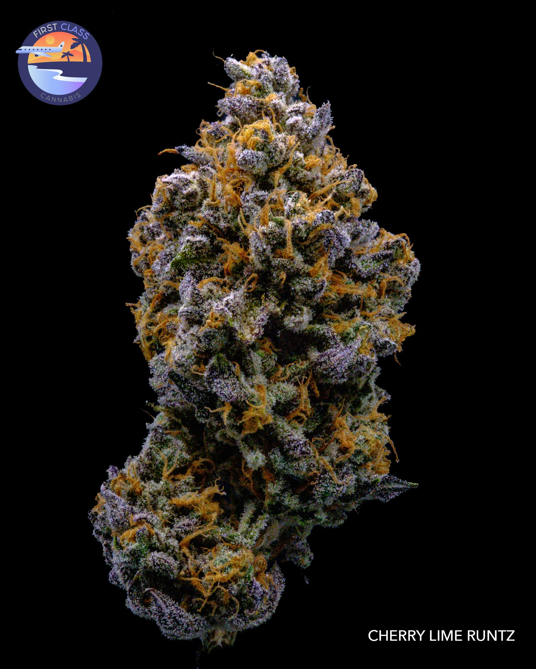 First Class Cannabis Info, Menu & Deals - Weed delivery Saco, Maine