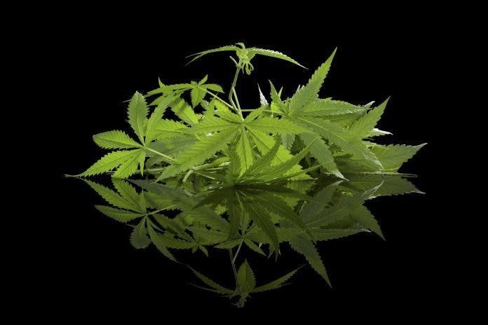 Farm Fresh Marijuana Dispensary Menu, Reviews, Deals - Weed Dispensary ...