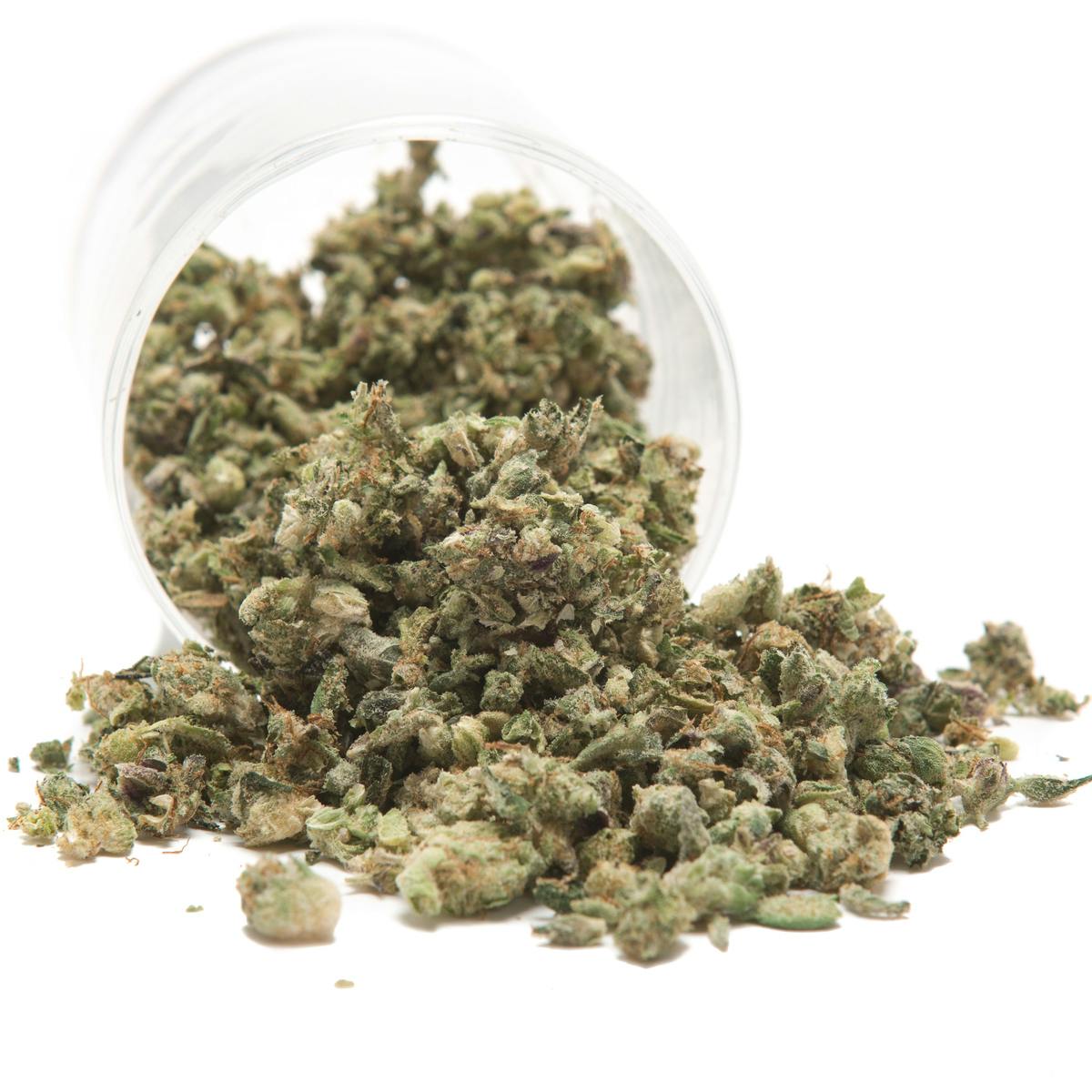 Pave Weed Strain Information | Weedmaps