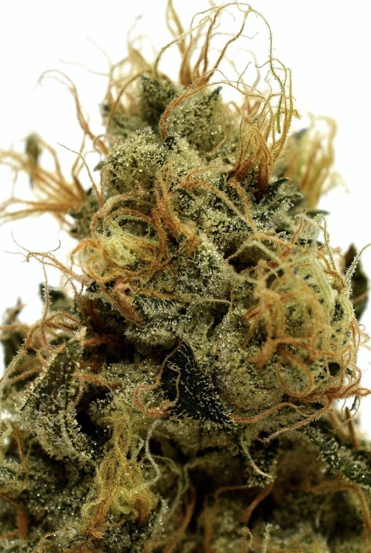 Selective - Recreational Info, Menu & Deals - Weed dispensary South ...