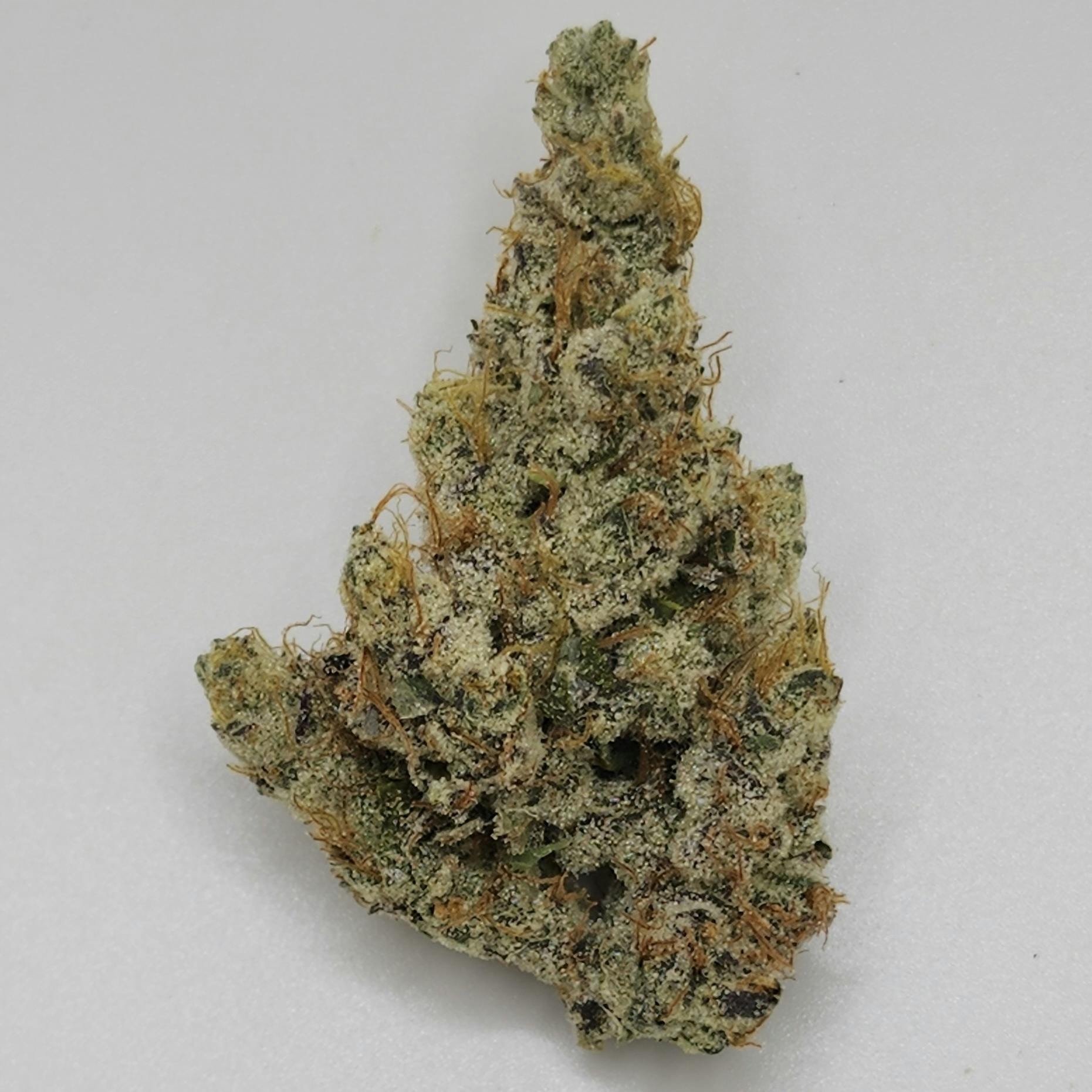 Captains Cannabis - Sanford, Maine Marijuana Dispensary | Weedmaps