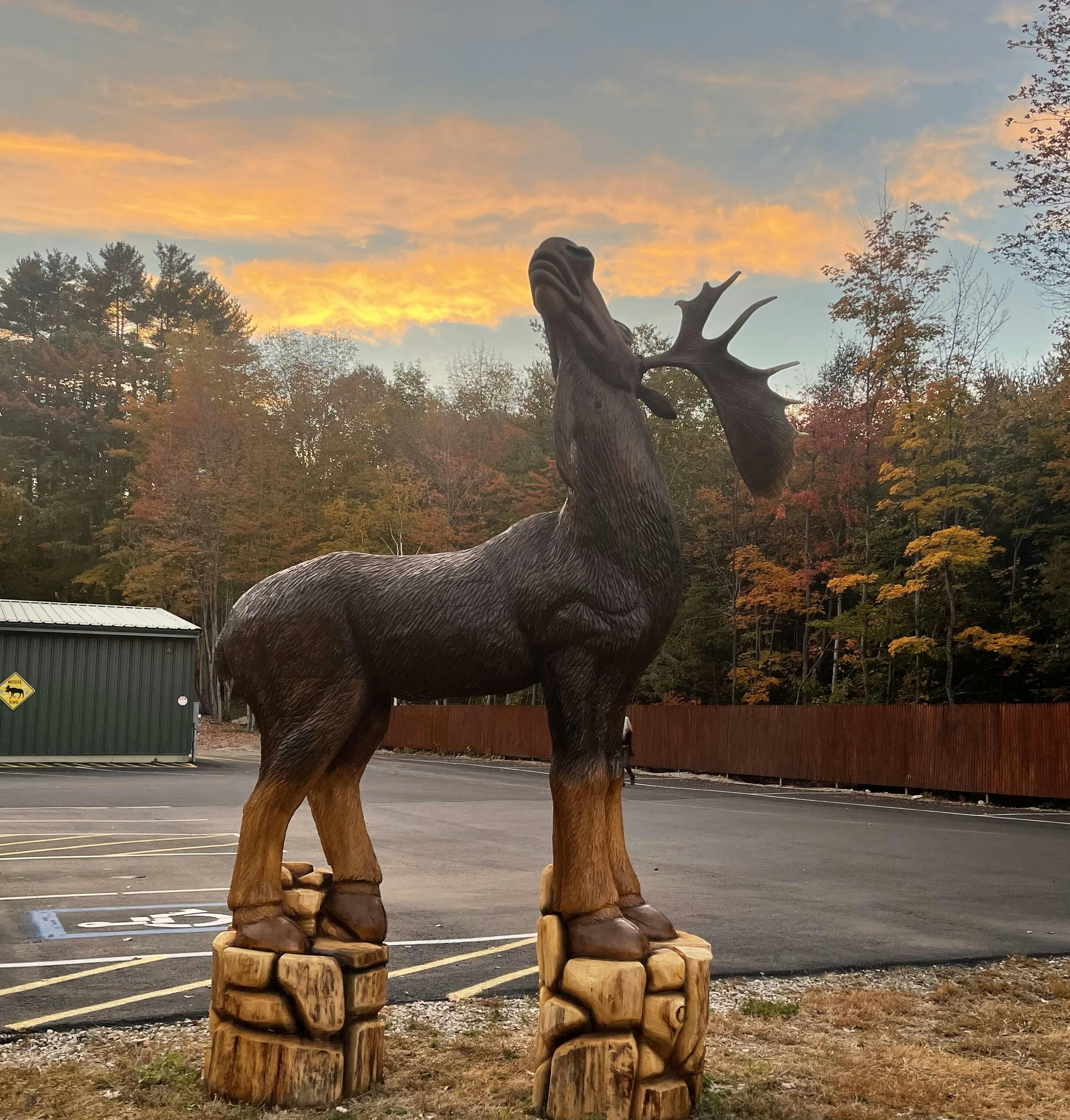 The Stoned Moose Menu, Reviews, Deals - Weed Dispensary in Bethel, Maine