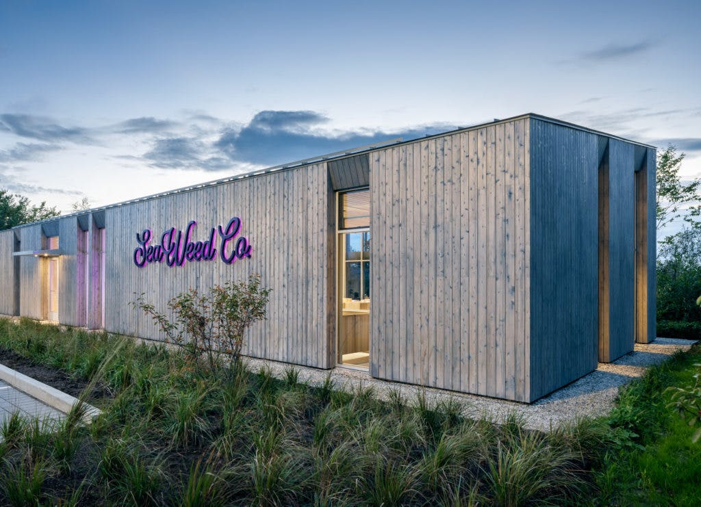 SeaWeed Co - South Portland Menu, Reviews, Deals - Weed Dispensary in ...