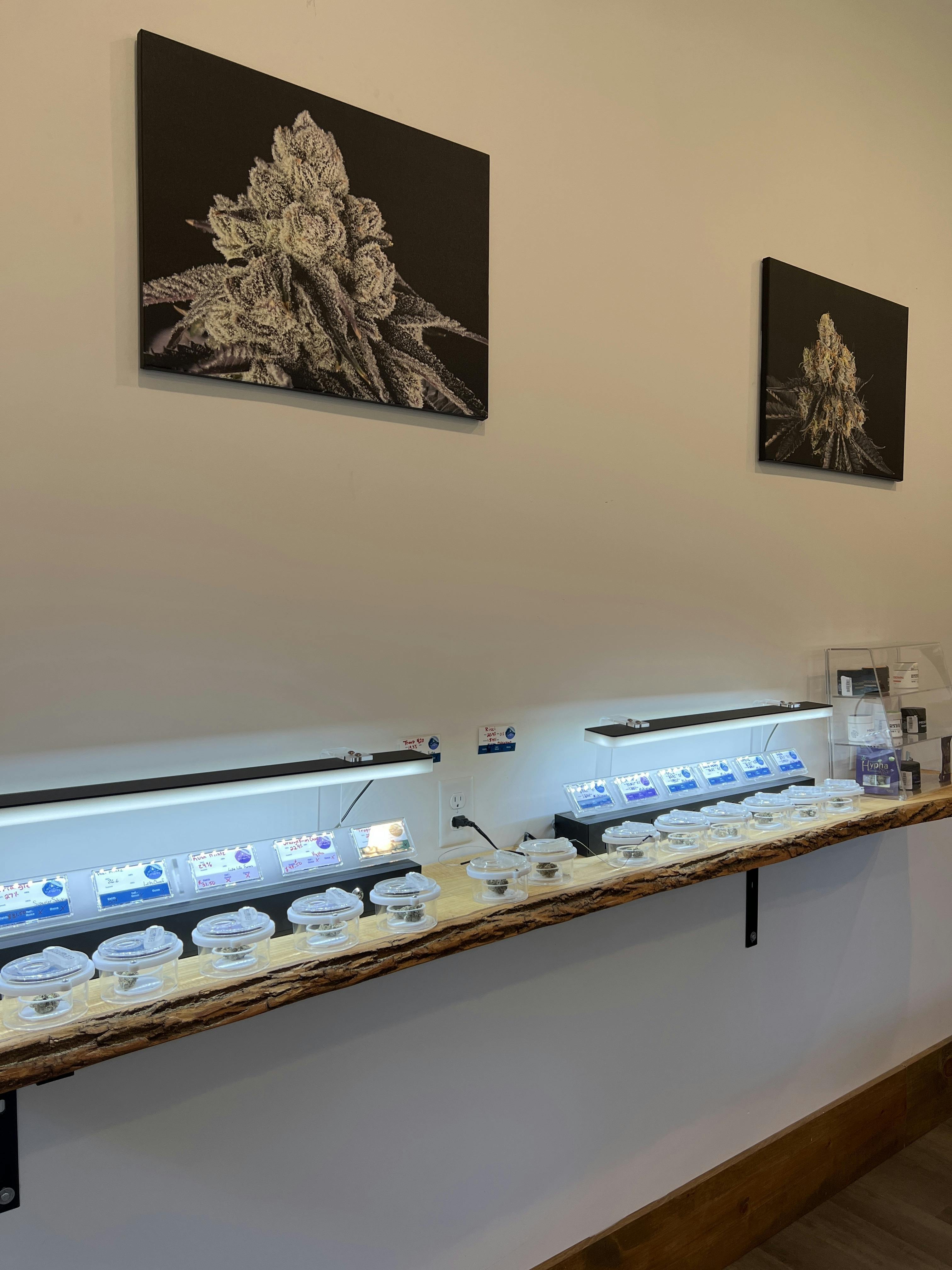 Elevated Exotics Info, Menu & Deals - Weed dispensary Republic, Michigan