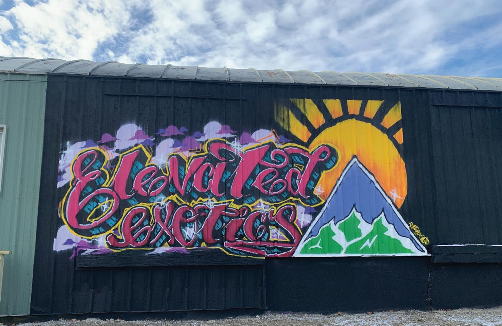 Elevated Exotics - Menominee Info, Menu & Deals - Weed dispensary ...
