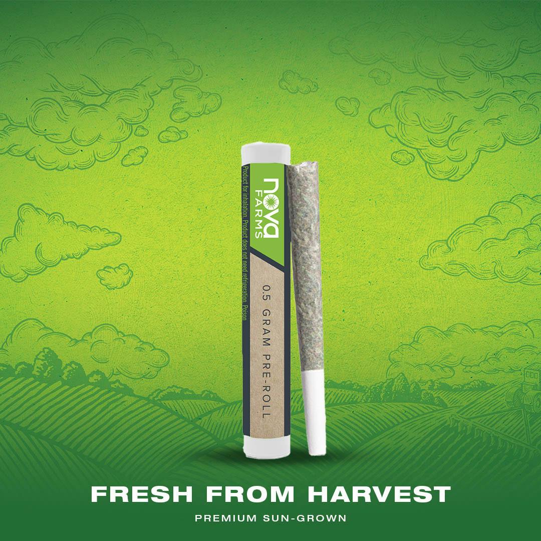 AC LEEF Menu, Reviews, Deals - Weed Dispensary in Atlantic City, New Jersey