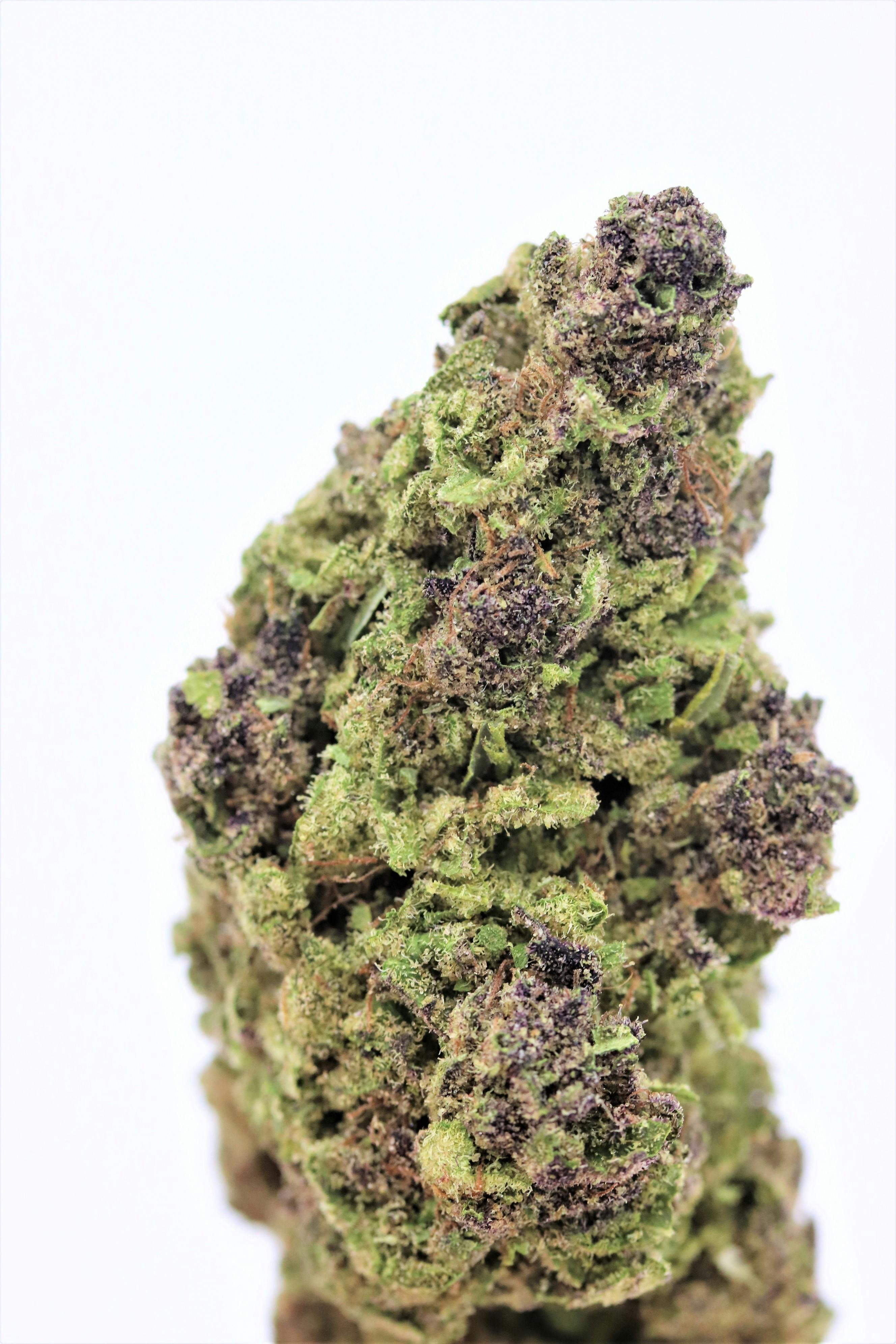 Elevation 207 Purple Goo | Weedmaps