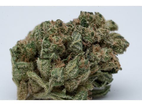 Green Sativa Sugar Apple | Weedmaps