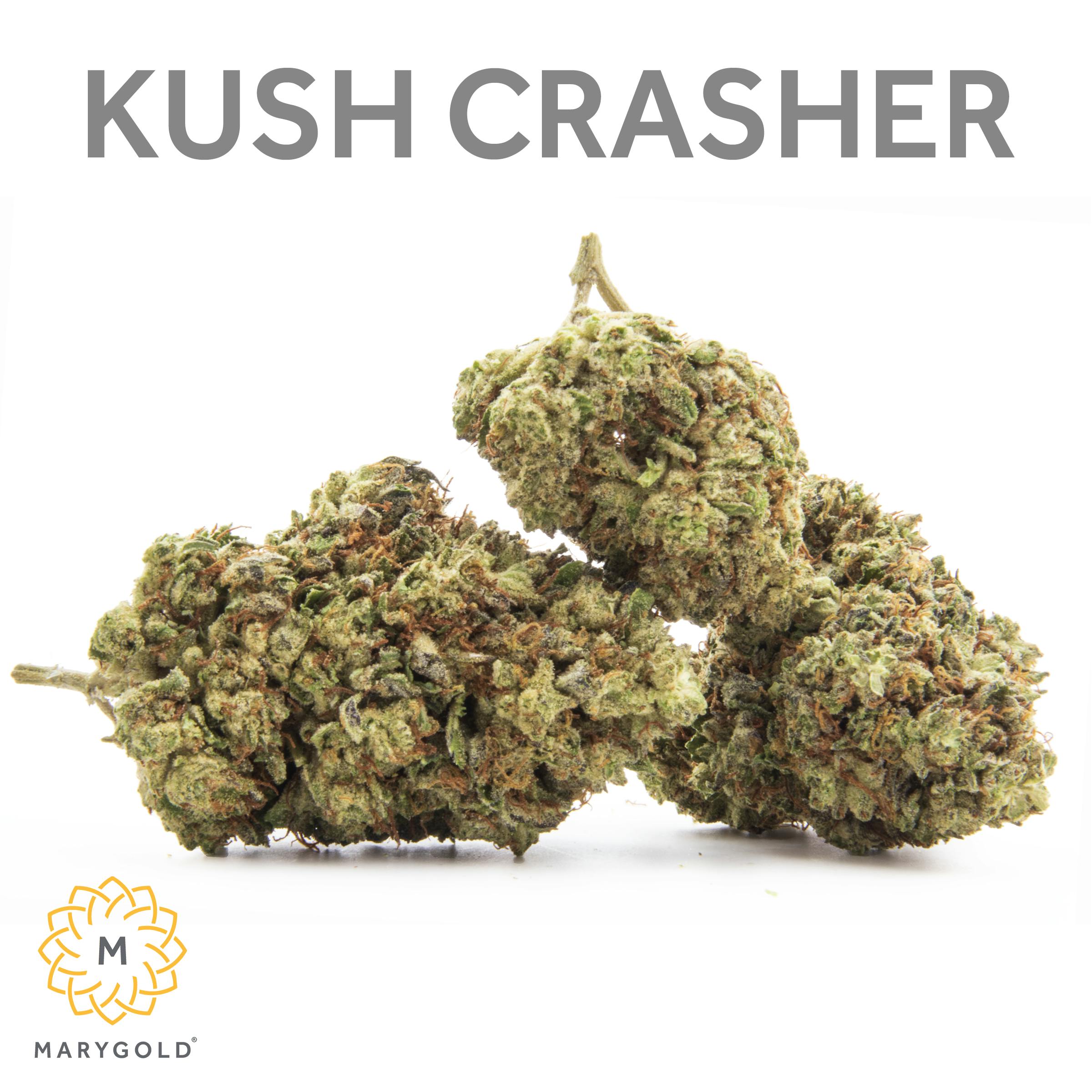 Kush Crasher 3.5g (28% THC Indica) - Marygold