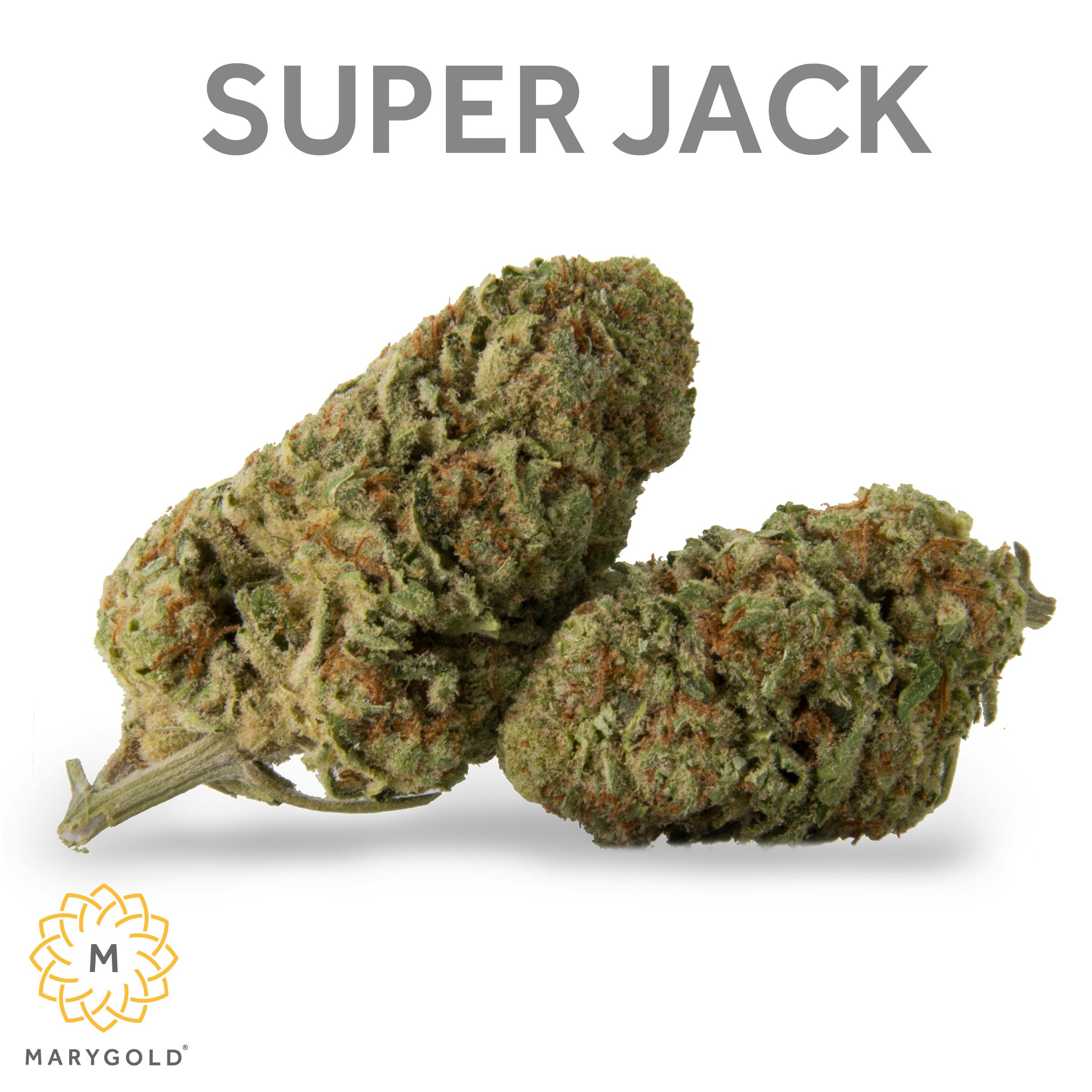 Super Jack 14g (29% THC Sativa) - Marygold