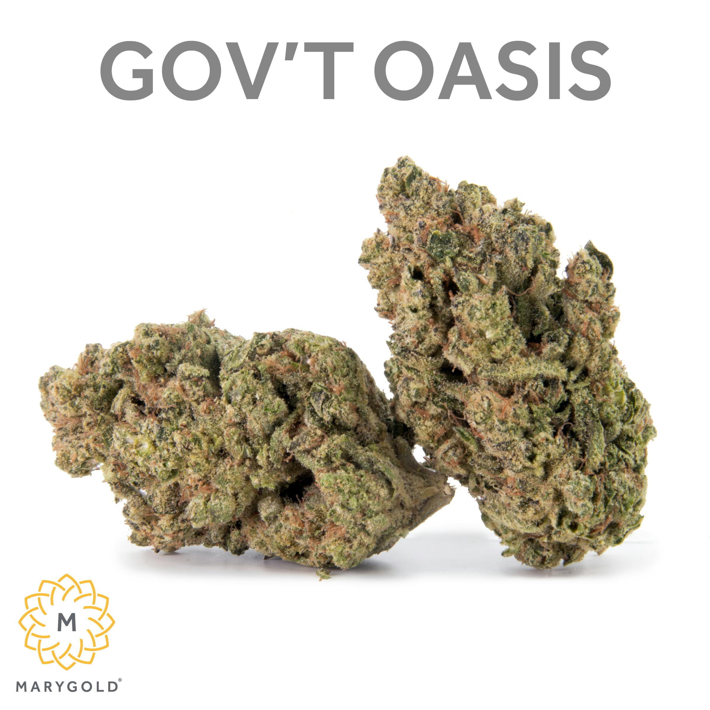 Government Oasis 14g (26% THC Hybrid) - Marygold