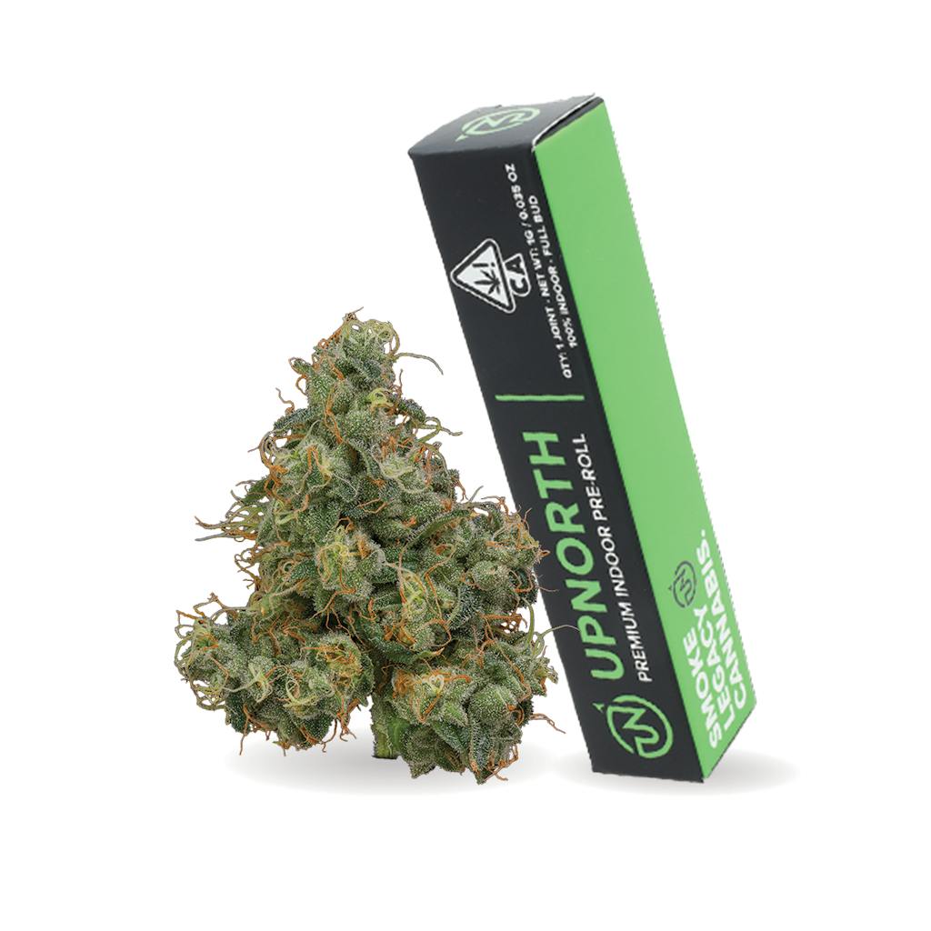 Durban Poison - 1g Preroll - UpNorth Durban Poison - 1g Preroll - UpNorth