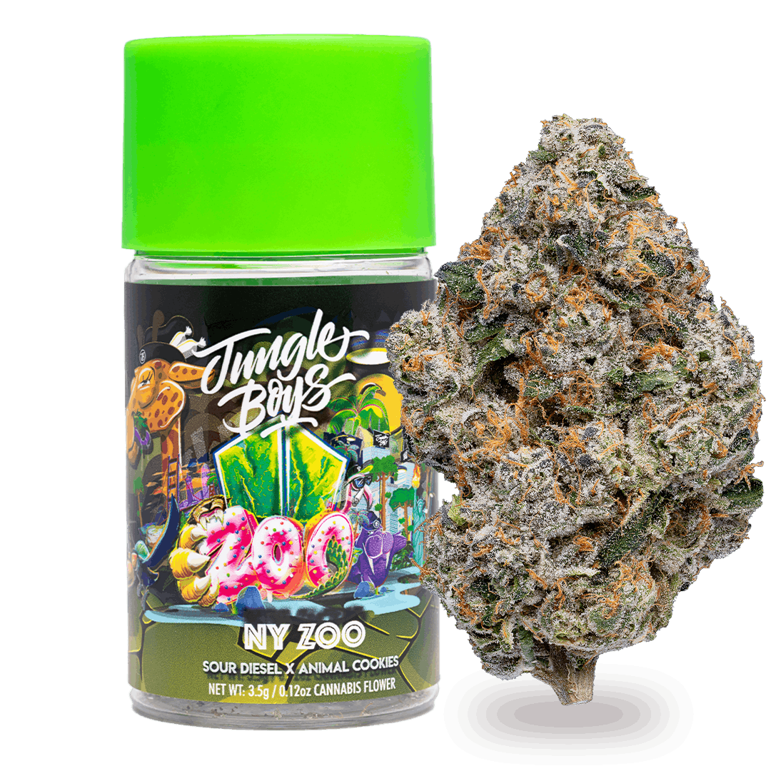 Jungle Boys | NY Zoo - 3.5g Jar - Jungle Boys