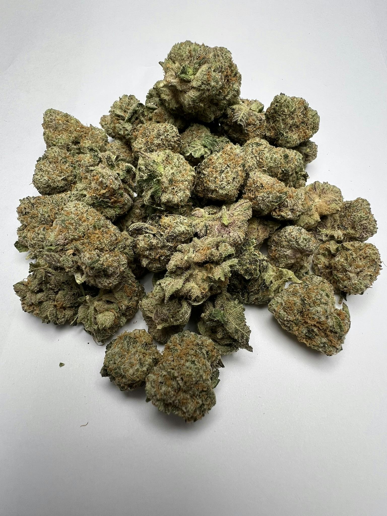 Gladiator | Captain Junky Smalls - Gladiator Cannabis