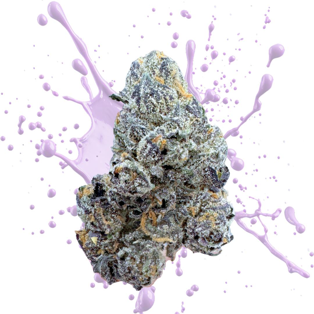 Grape Gusherz 🍇 | Top Shelf | Indoor - SUPPLY LA