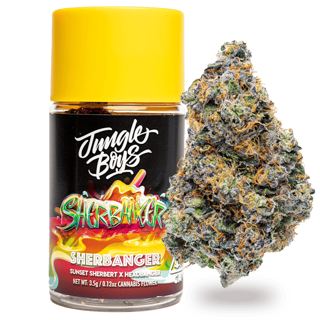 Jungle Boys | Sherbanger - 3.5g Jar - Jungle Boys