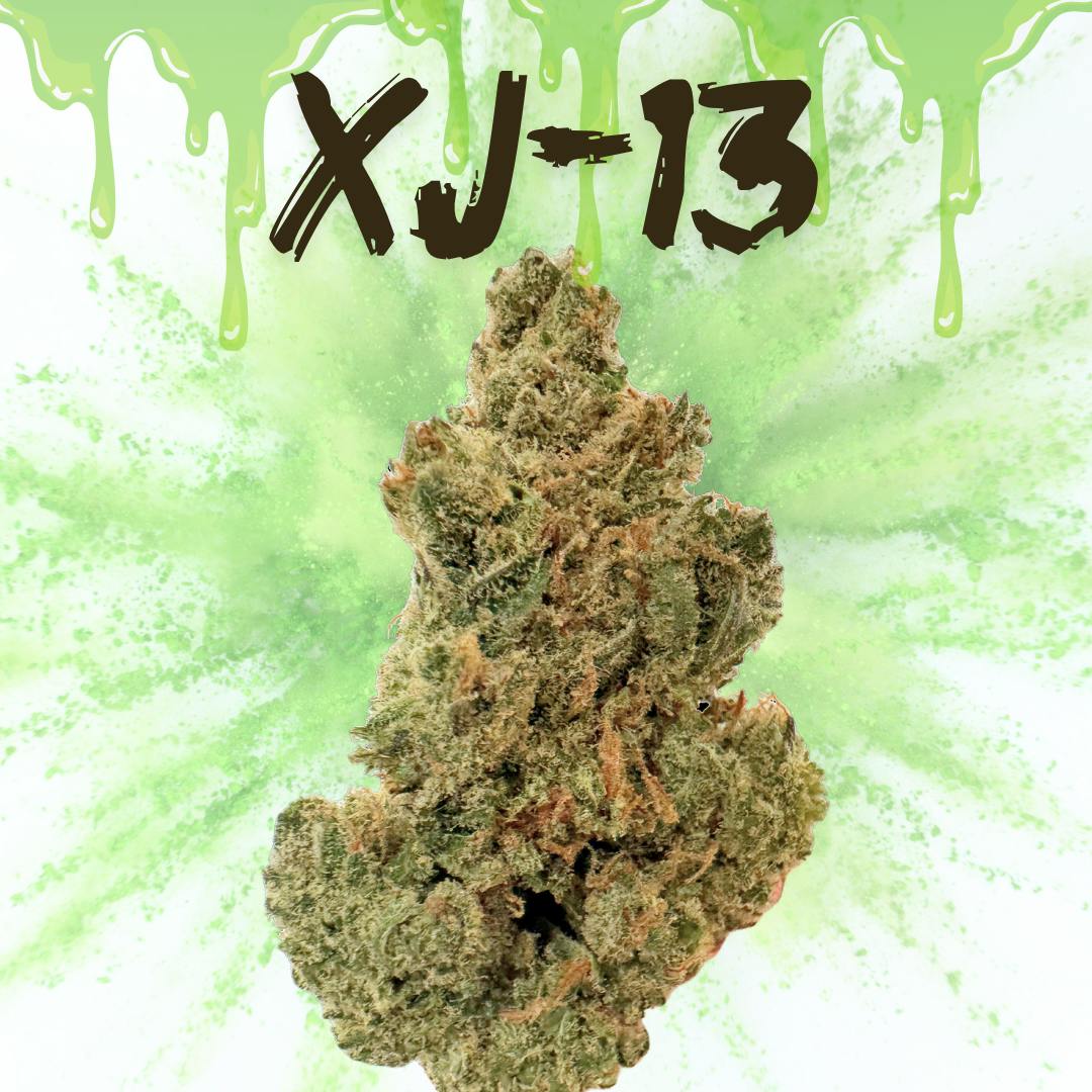 XJ-13 | Top Shelf | Indoor | 7G | Quarter - SUPPLY LA