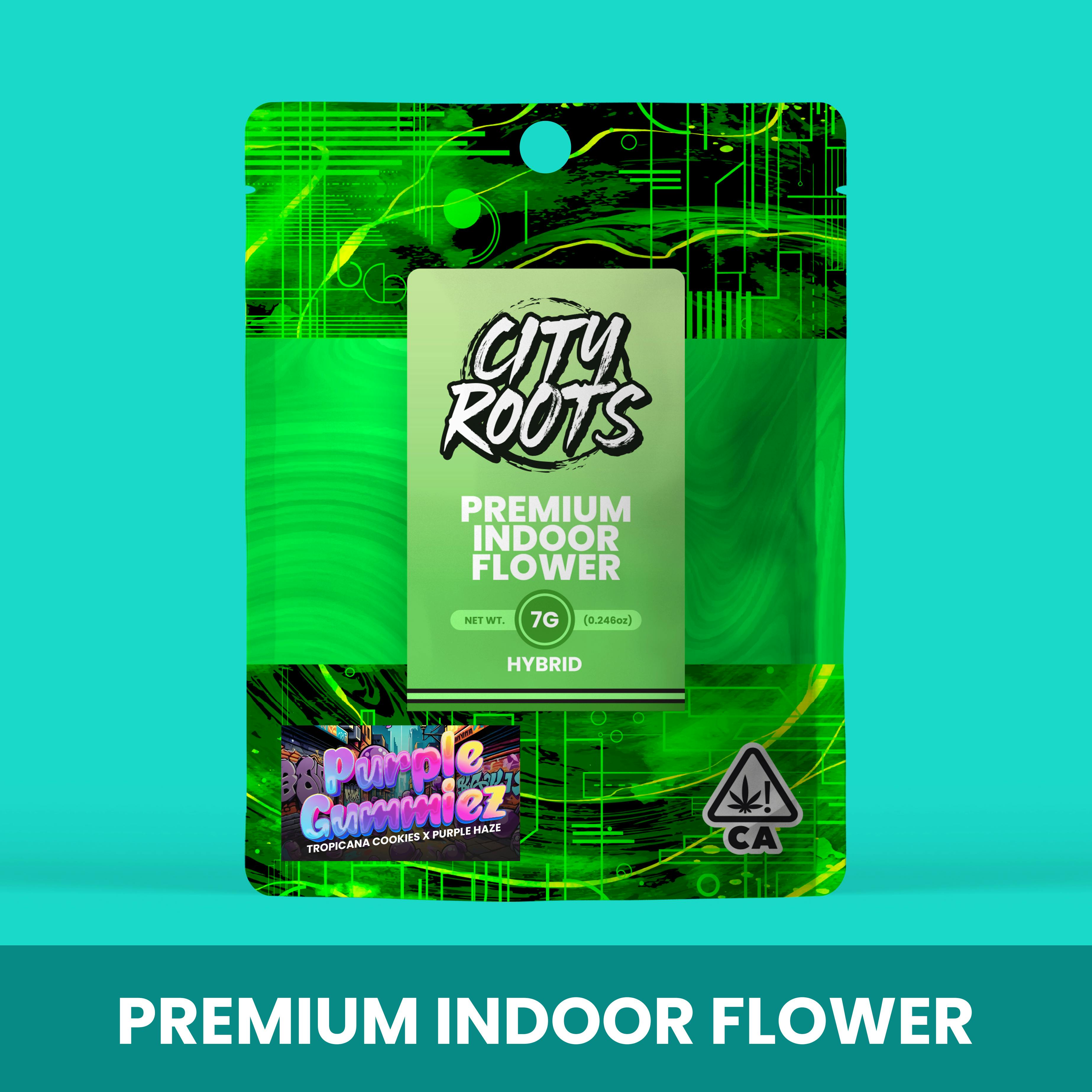 Funky Fritter (Hybrid) Premium Indoor Flower - City Roots