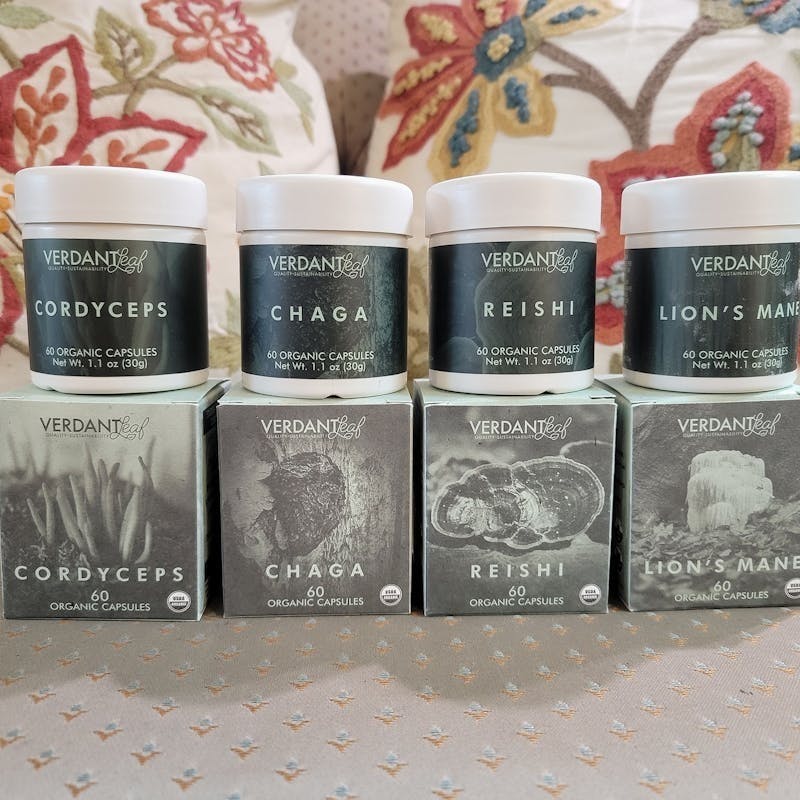 Verdant Leaf | Chaga | 60ct Organic Capsules - Verdant Leaf Farms