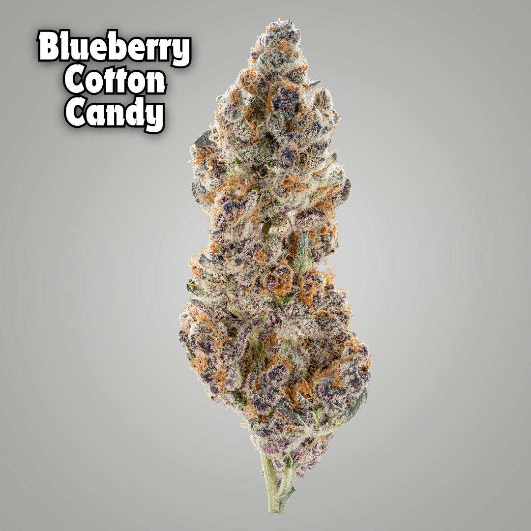 Blueberry Cotton Candy 3.5g Bag | High Rise Cannabis - High Rise