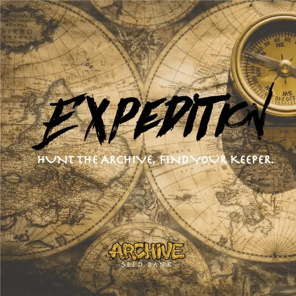 Lemon G x Dosidos #18 – Dosidos Hybrid Seeds - Archive - California